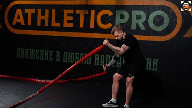 Работа с канатами переменно (нейтральный хват)