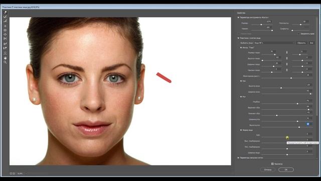 Работа фильтра Пластика. Обработка лица.