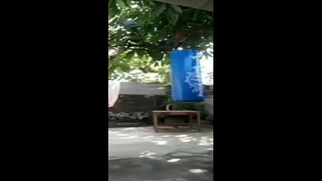 Funny People03#shorts.mp4