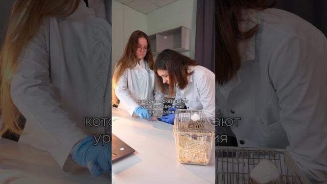 Свет против рака.  «Лица науки»: выпуск 44 | Автор: ННГУ им. Н.И. Лобачевского