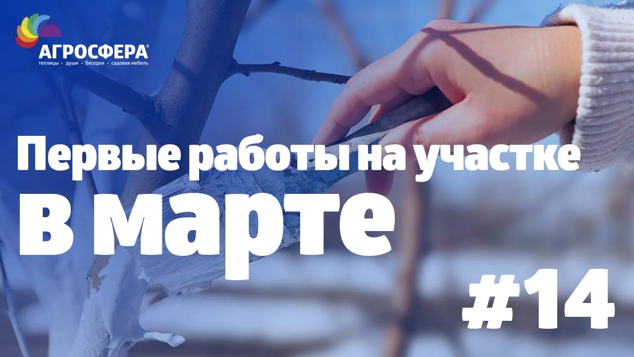 Советы для дачи и сада #14 - работы на огороде в марте / агросфера.рф