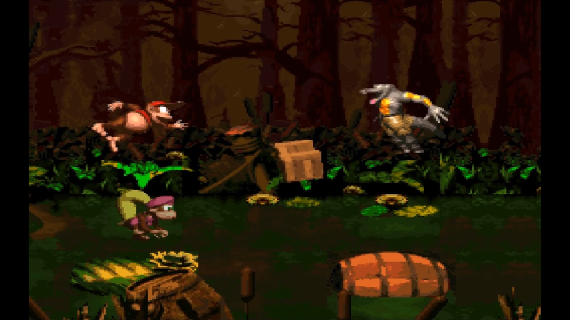Donkey Kong Country 2: Diddy's Kong Quest, Прохождение, часть 2