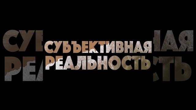 Субъективная реальность.mp4