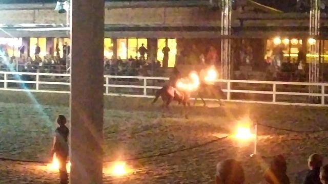 Лошади и огонь