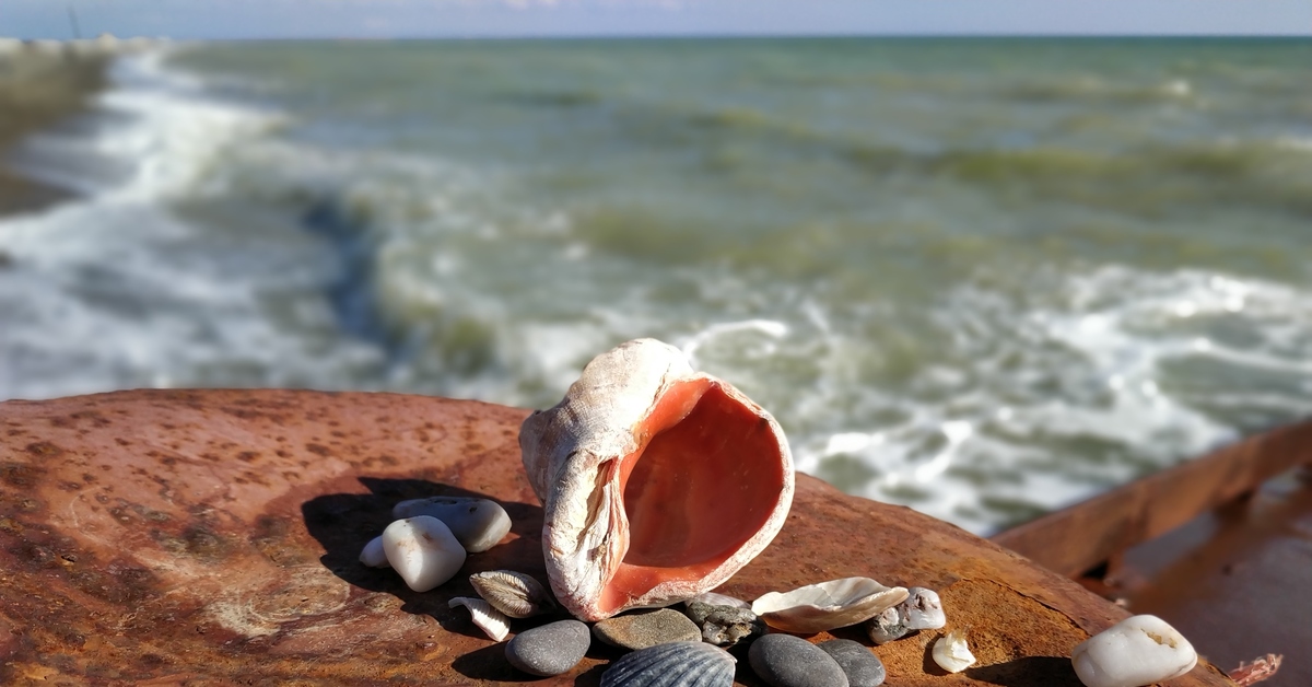 Звуки океана слушать онлайн / Шум прибоя океан