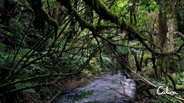 Успокаивающие звуки для сна