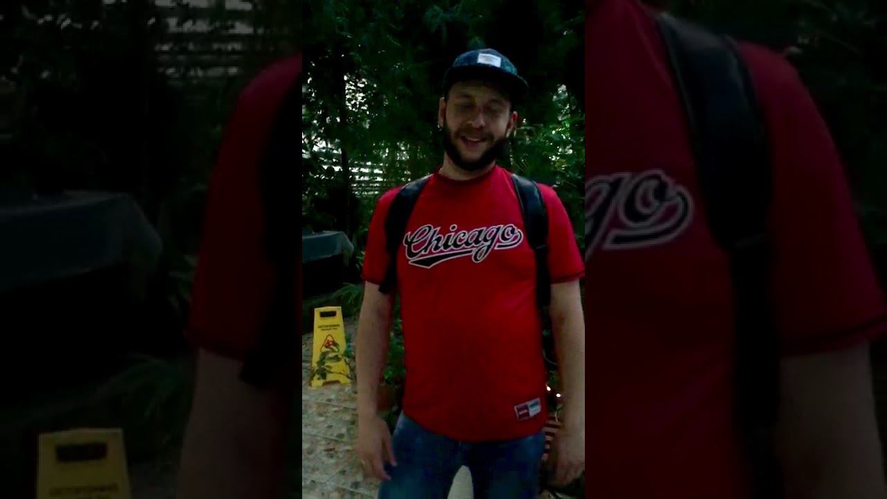 Отзыв. Свидание в ботаническом саду