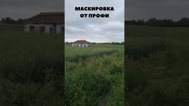 О маскировке на канале #сво #маскировка #маскировочныесети