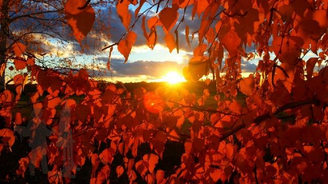 Дудл - ролик "ОСЕННИЙ ВАЙБ"