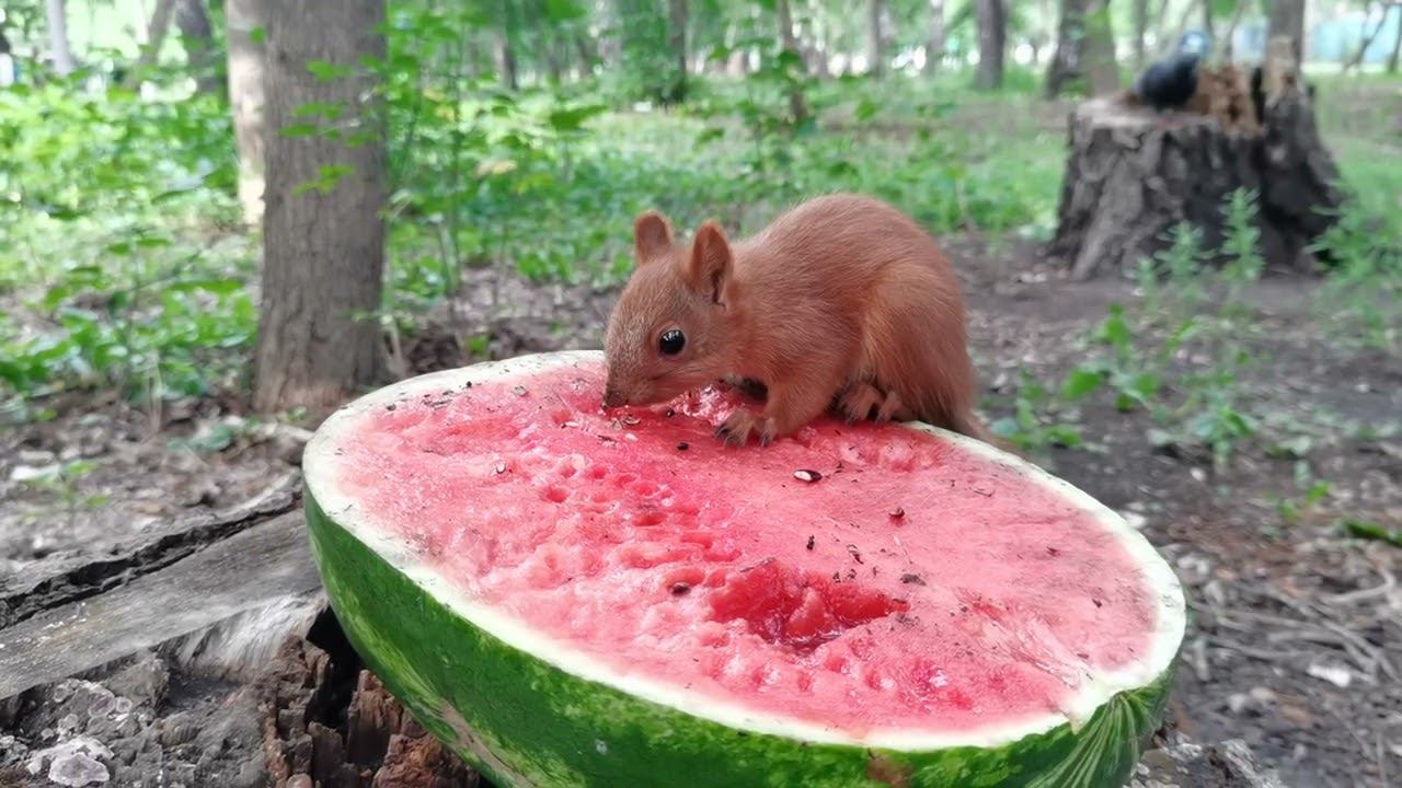 18 августа 2023 г.