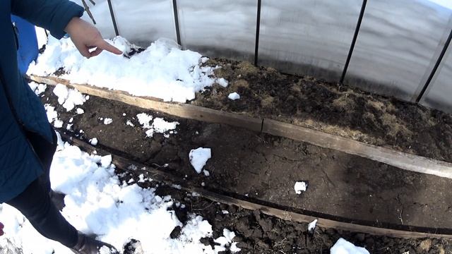 Земля в теплице дала трещины / Есть ли польза от снега в теплице и