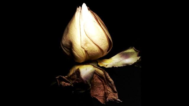 Библия. 25-25. Книга Иова (25). И отвечал Вилдад Савхеянин...