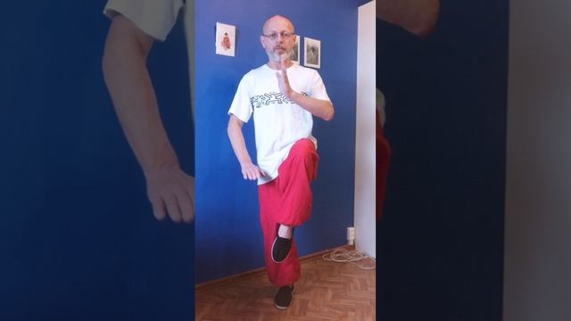 Координация. Устойчивость. №4.