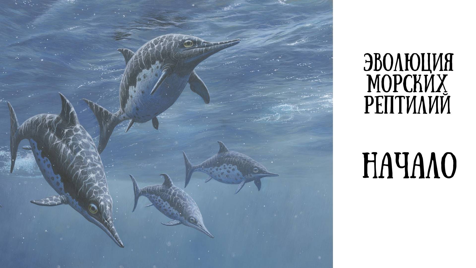 Эволюция морских рептилий. Начало