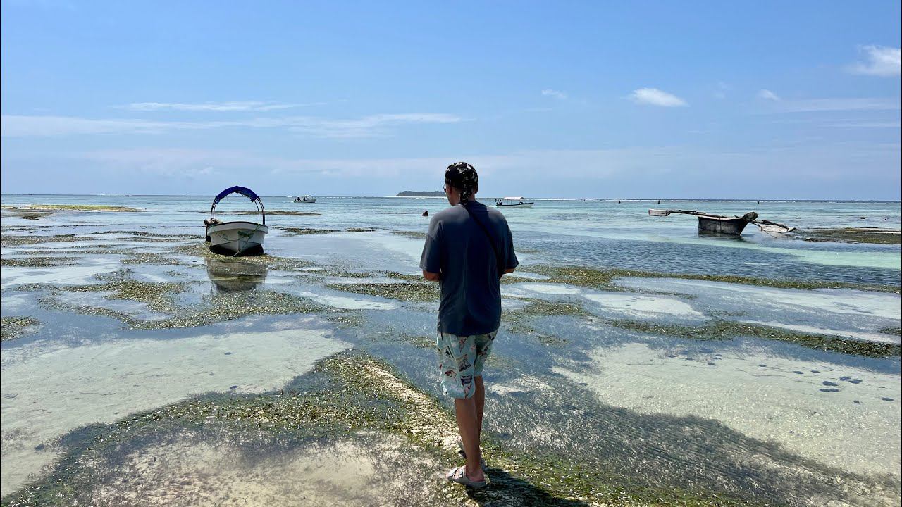 #17 НА БАЙКЕ ПО АФРИКЕ! ПЛЯЖ МАТЕМВЕ, СМОТРИМ ОТЛИВЫ! ЗАНЗИБАР, ТАНЗАНИЯ, август 2023