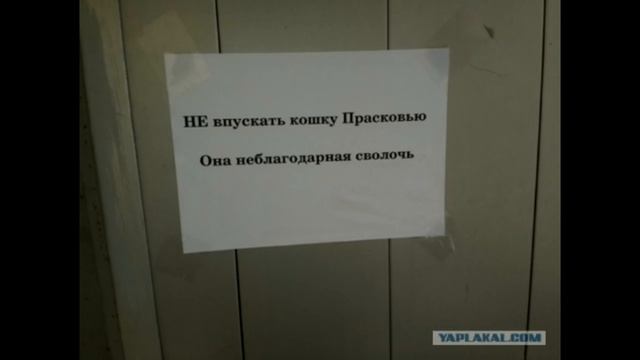 Смешные вывески и объявления №3 Юмор, приколы, интересно,смешно.