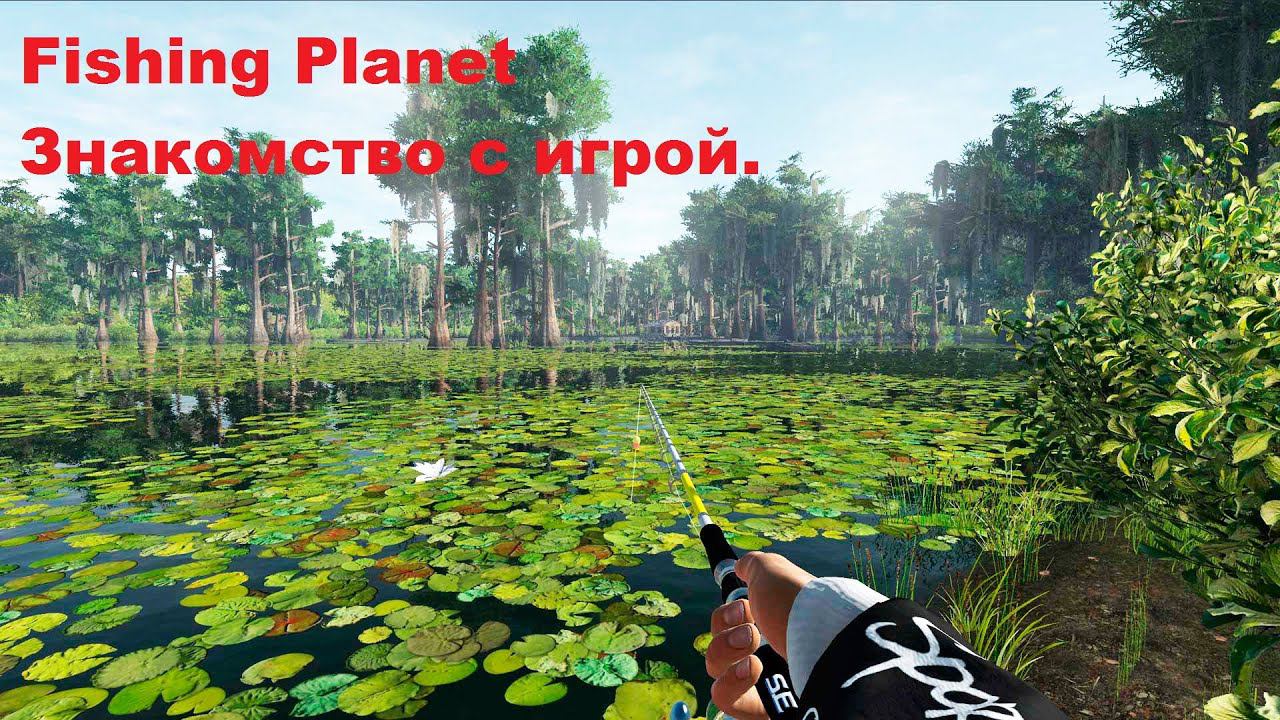 Fishing Planet. Знакомство с игрой. Первые попытки рыбачить.