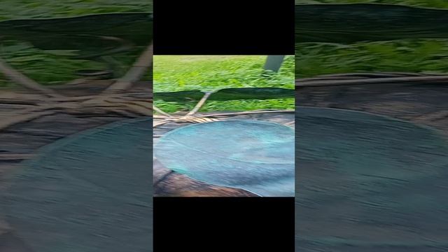 курортный город Зеленогорск