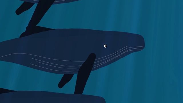 Шантарские острова