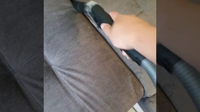 Чистка дивана от собаки