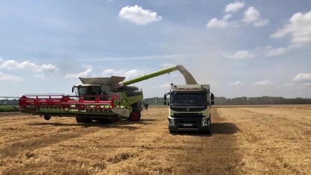 CLAAS LEXION 8700 убираем ячмень, урожайность 100-120 ц/га Краснодарский край