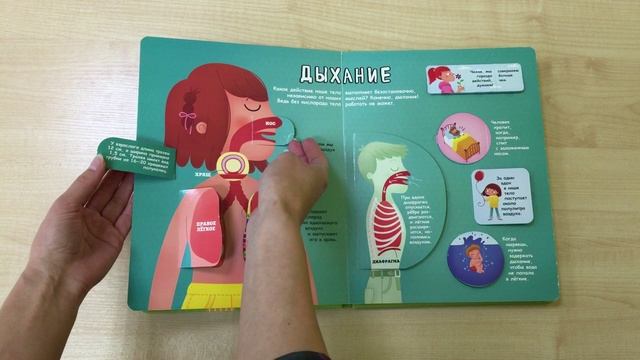 "Тело человека": уникальный путеводитель по человеческому телу