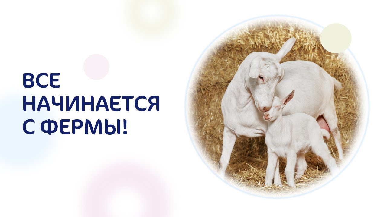 Знакомьтесь, Kabrita®! Смеси для новорожденных на основе полезного козьего молока