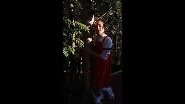 Потапова Дарьяна, 11 лет, Н.М. Рубцов "Берёзы"