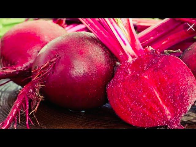 Семена. Часть 6. Свёкла. Лето 2023 года