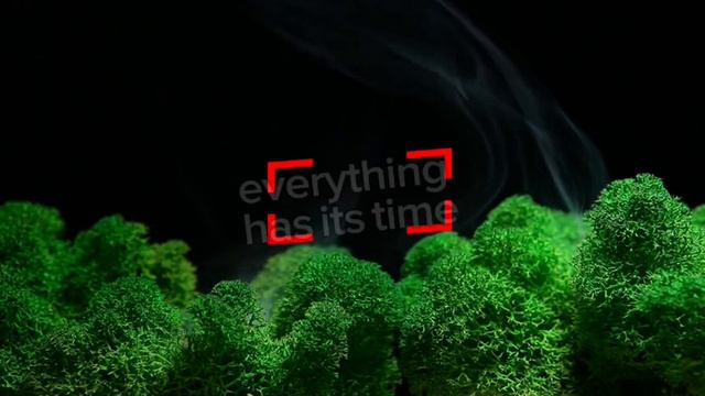 Уроки английского. Как сказать "Всему своё время"