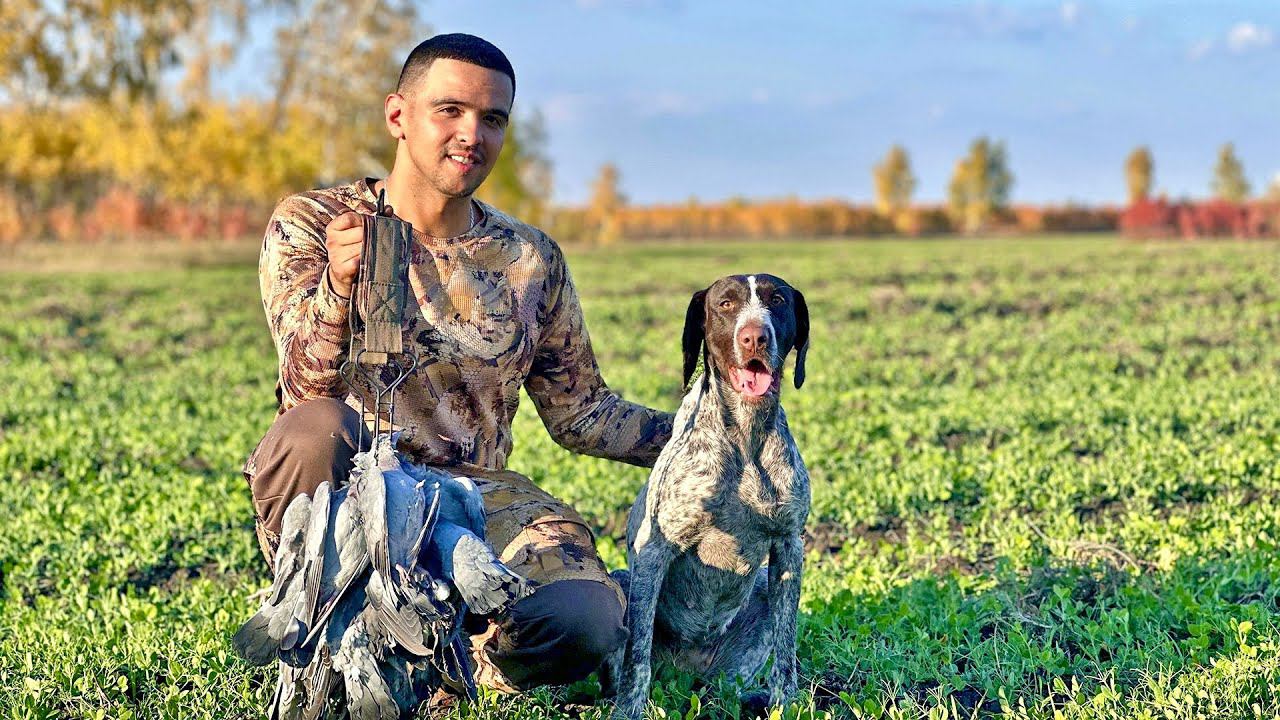 Две супер-охоты на вяхиря | Шикарное закрытие сезона по голубю