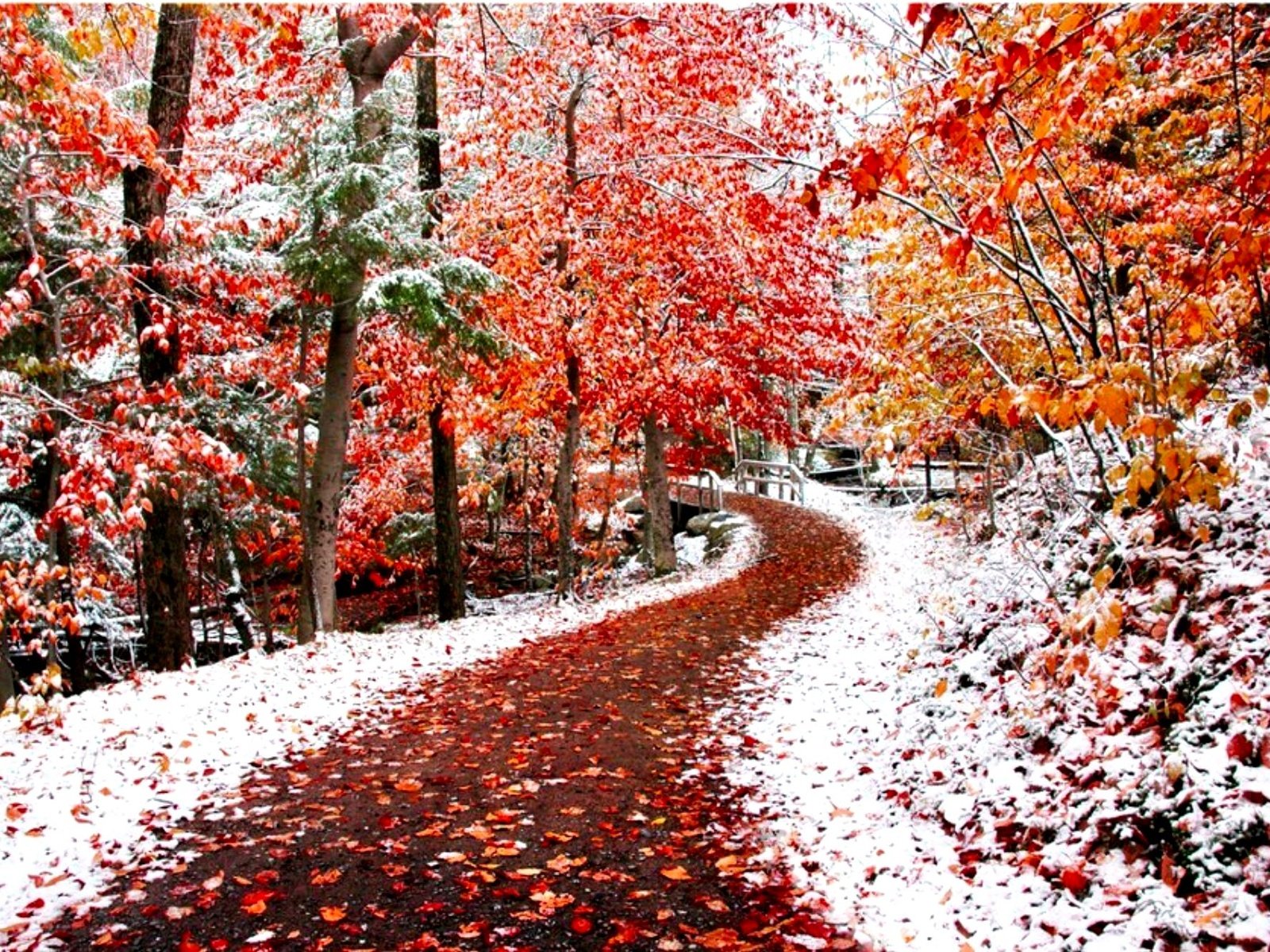 Первый снег.mp4