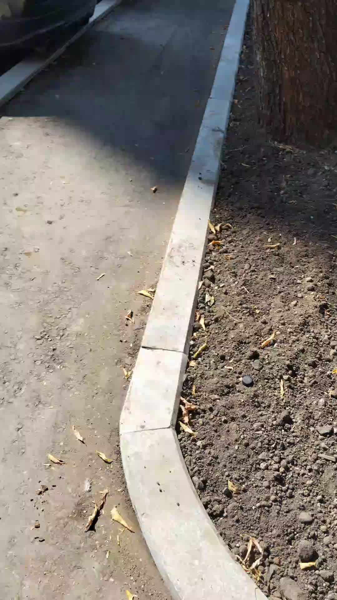 Прогулки с собаками, 29-авг-2024, 3