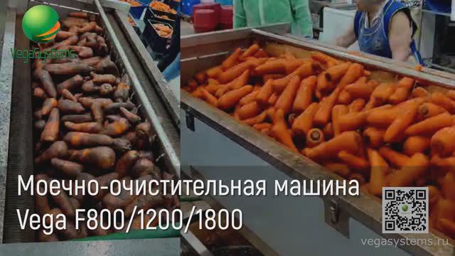 Мойка и очистка моркови, картофеля, машина Vega F1800 | Мойка очистка