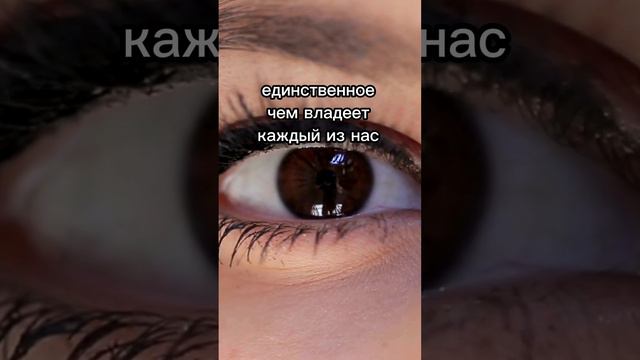 ВСЕЛЕНСКАЯ 
ТЕРАПИЯ И 
СМЫСЛЫ ЖИЗНИ