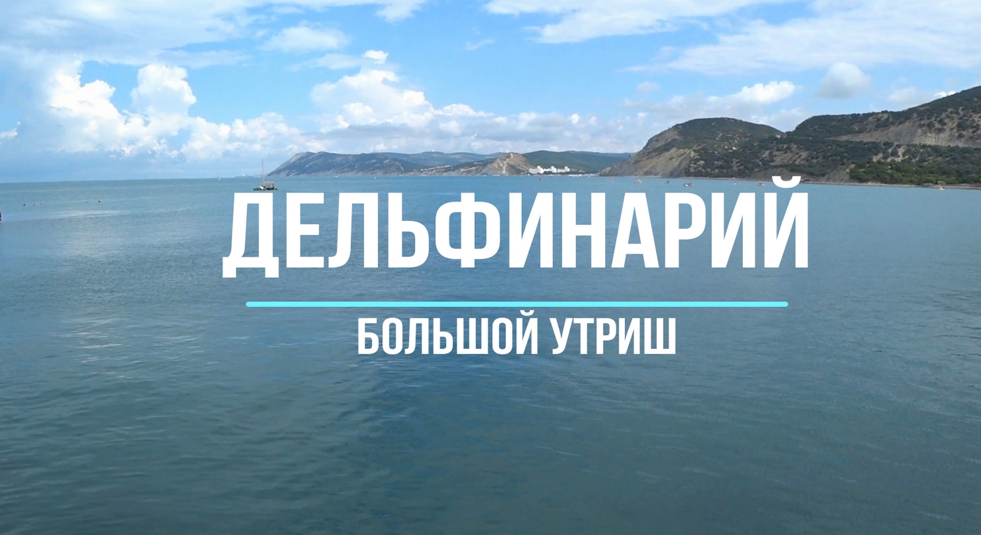 Попали под проливной дождь в дельфинарии "Большой Утриш".