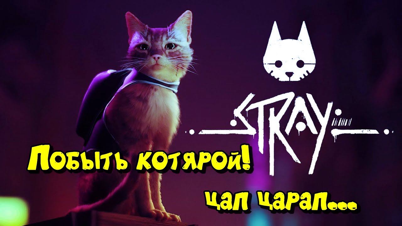 Цап царап стрим STRAY - побыть в шкуре котяры!