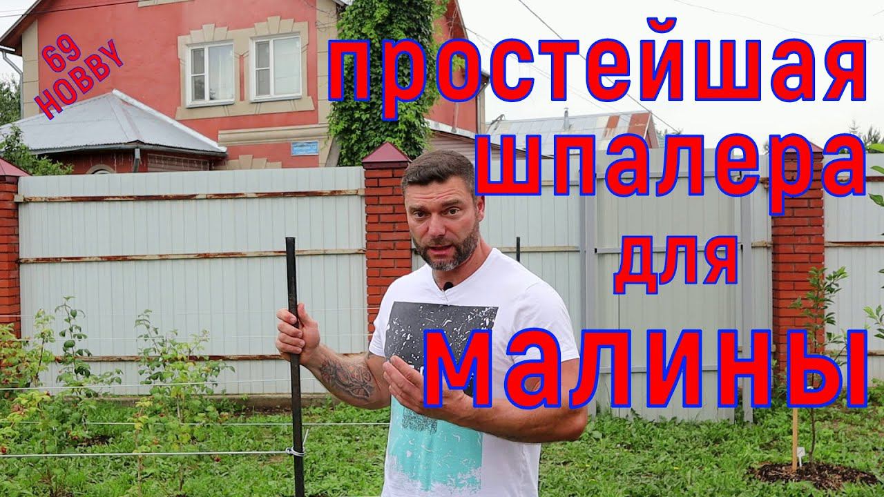 ОДНОПЛОСКОСТНАЯ шпалера для малины! Самый простой вариант!