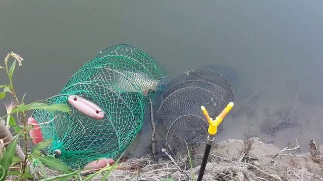 Рыбалка на реке