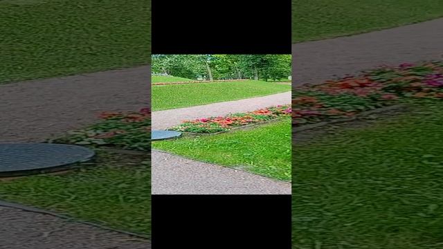 Гатчина , Гатчинский парк