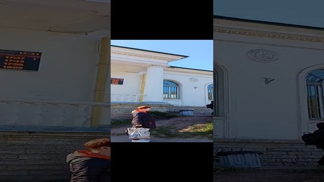 Павловск , СПБ ПИТЕР ТИПИЧНЫЙ ПИТЕР ЛЕТО ПРИРОДА