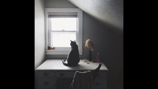 Плейлист для тех, кто одинок летом