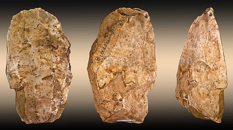 #29 Человечество в эпоху палеолита. Часть 1. Первые гоминиды