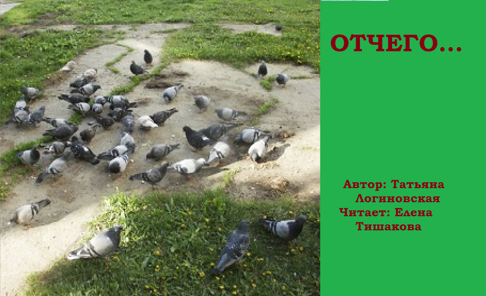 Стихи. Отчего...   
Татьяна Логиновская