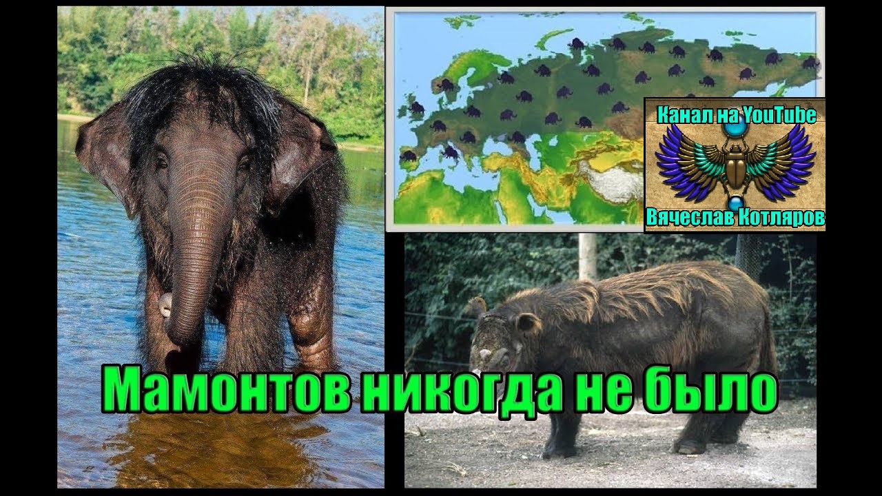 Мамонтов никогда не было. (Л.Д.О. 218 часть.) Вячеслав Котляров.