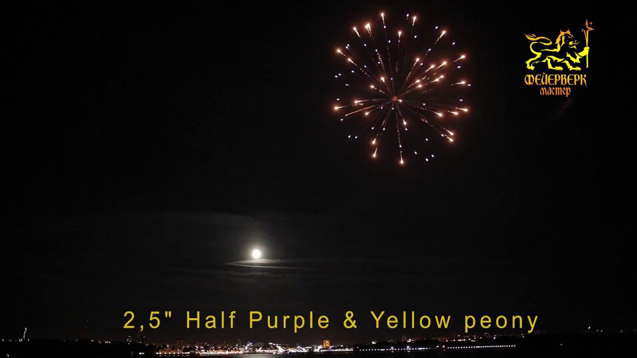 2,5" Half Purple & Yellow peony