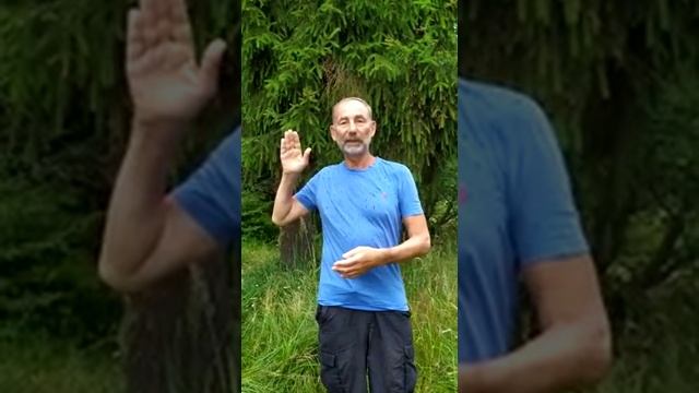 Практики_по_набору_энергии_от_деревьев._Ель.mp4