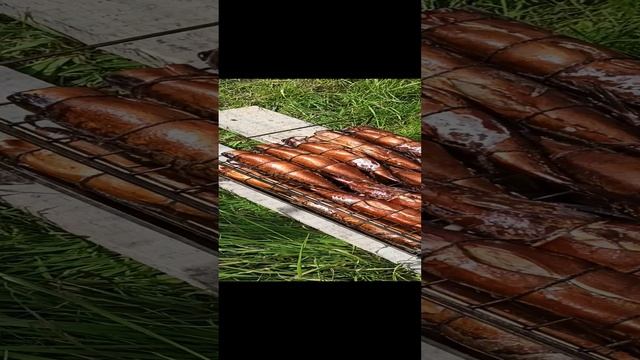 Копчёная рыба. Скумбрия. Рыба горячего копчения. #рыба #копчение #горячее