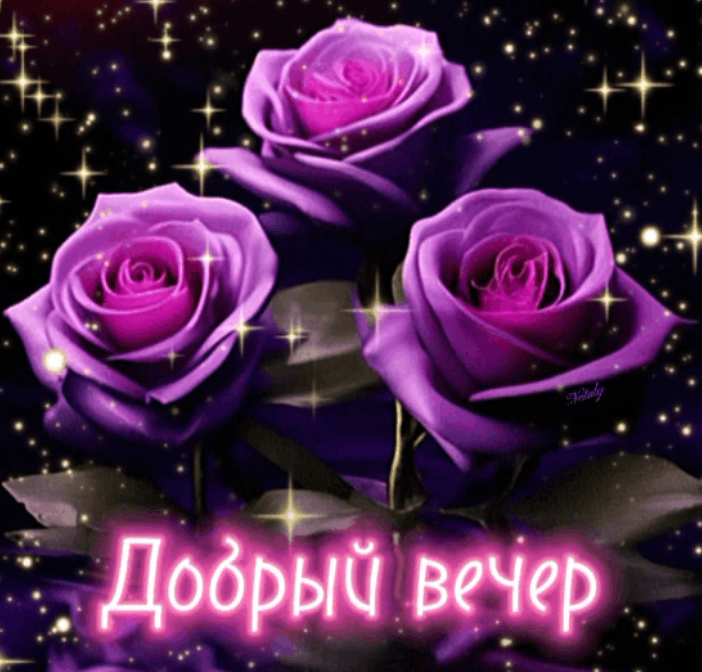 Доброго Вечера!