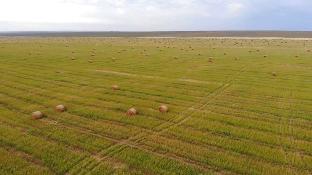 Отзыв механизатора на пресс-подборщик RB15/2000 производства НАВИГАТОР-НМ